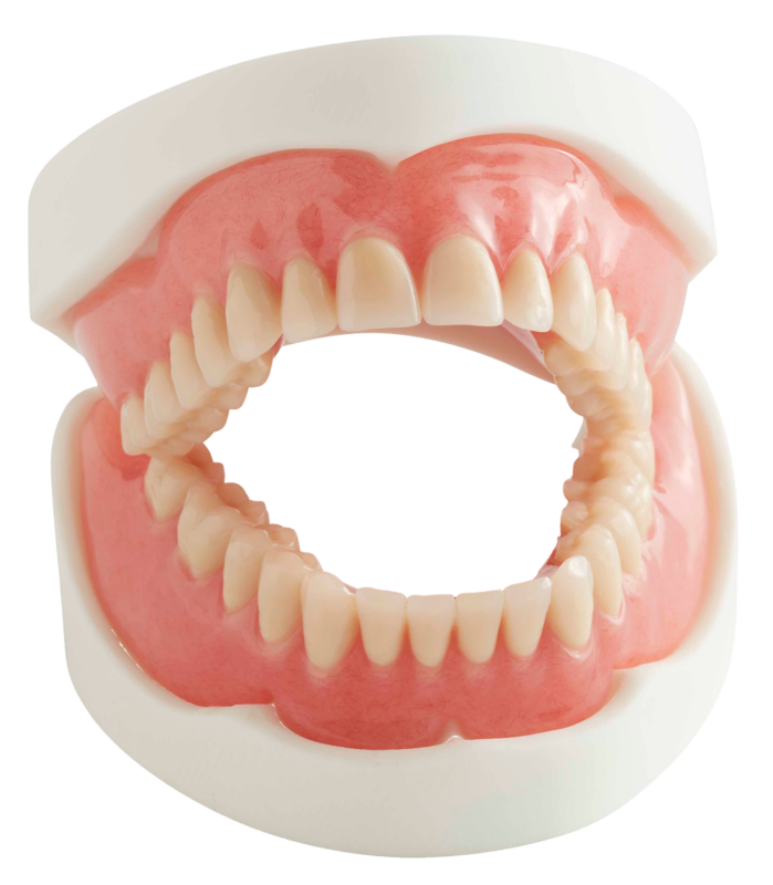 Removable Prosthodontic Products | Southern Cross Dental